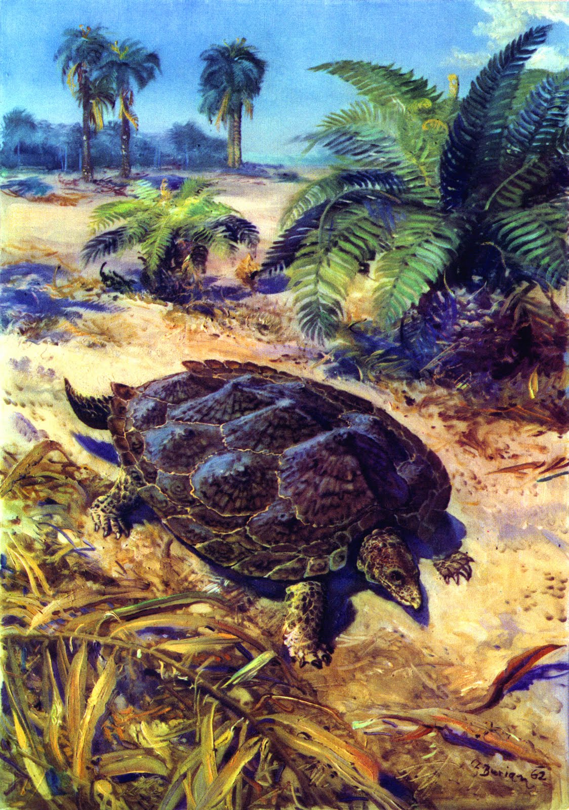 Neat Stuff Blog: Zdenek Burian