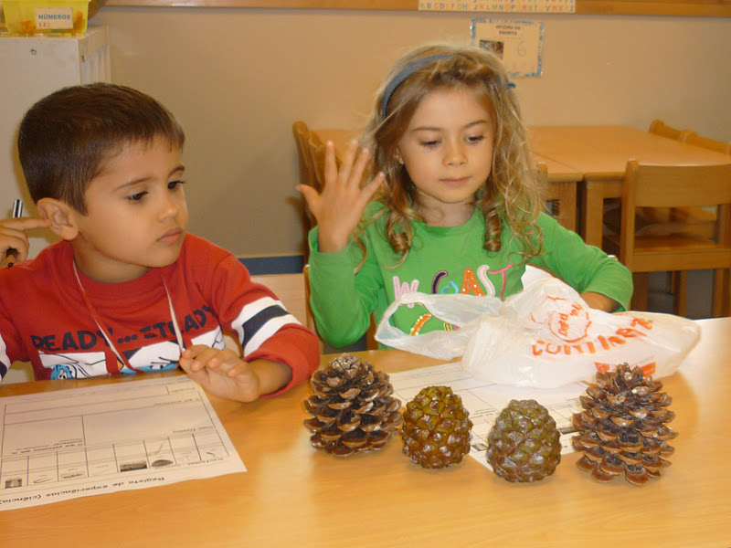 CEID'Outeiro - Sala Intelectual: Experiência: A Pinha