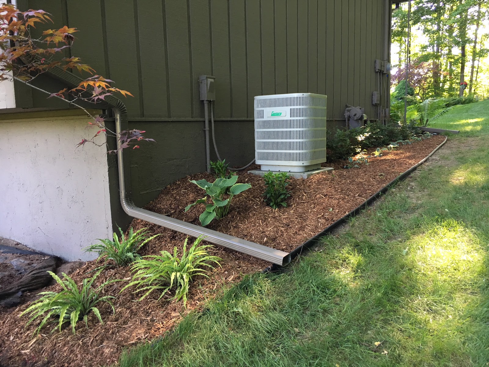 Home and Gardening With Liz: Finalizing a Foundation Landscape Project