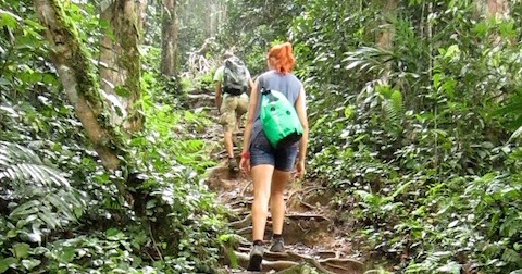 Seiklused ja jutud: Siil udus