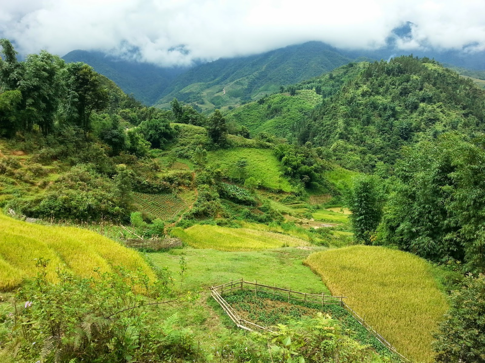 Cuaderno de viajes: Trekking por Sapa II