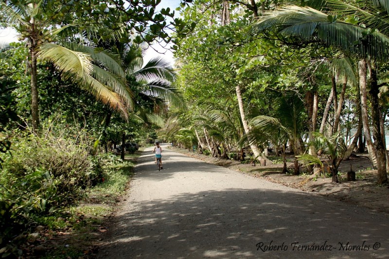 Manzanillo de Limón | Explore Costa Rica