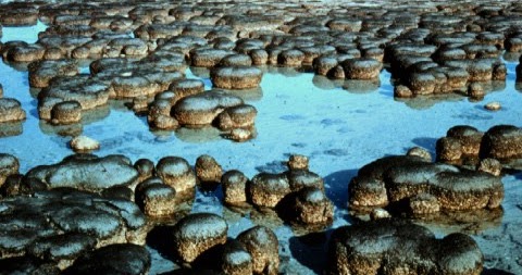 TRAS LAS HUELLAS DE HERÓDOTO. . . : ARQUEOZOICO O EÓN ARCAICO.