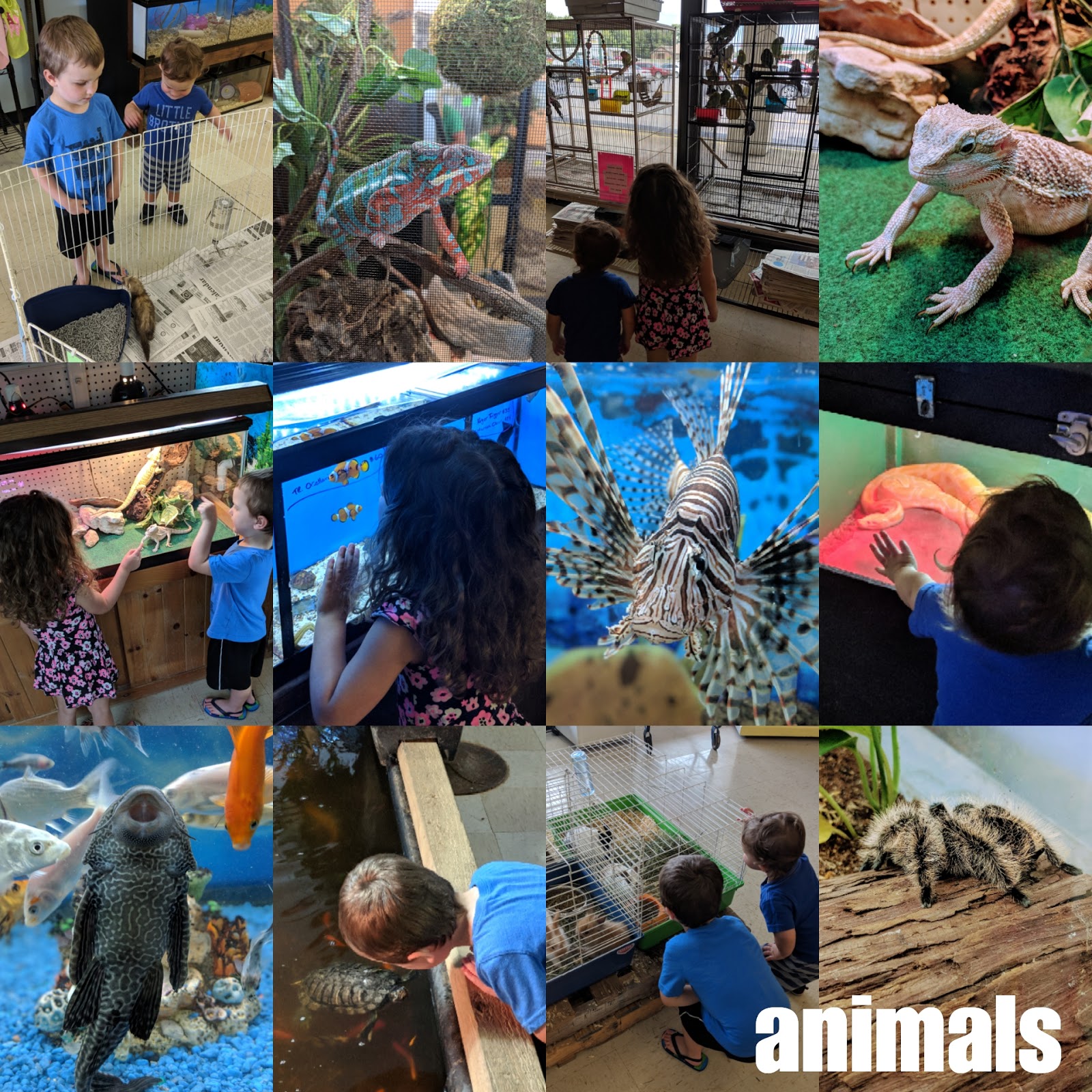 Our Family Yes Day 2018 Say Yes To The Kids our-family-yes-day-2018-say-yes-to-the-kids