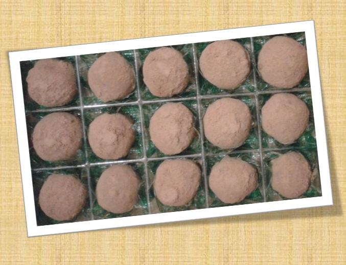 Salgados Aurora: Trufas e Doces