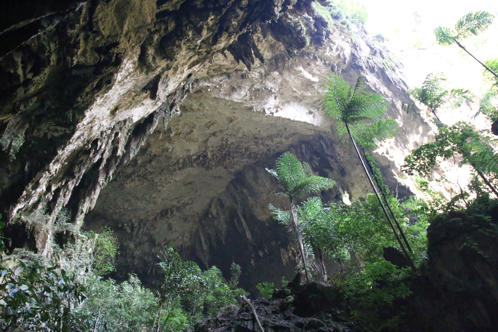 Deer Cave, Gunung Mulu National Park