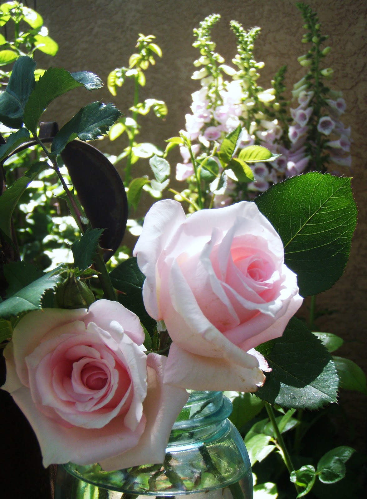 Cabin & Cottage : Bride's Dream Roses