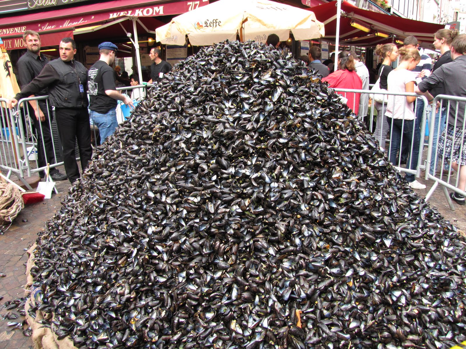 Nicole Bienvenue La France: Dio Boia