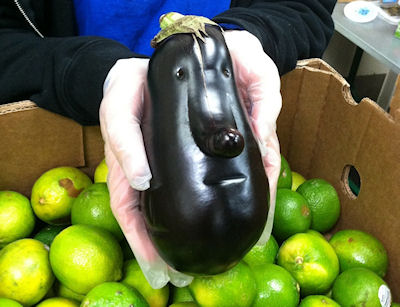 The Presurfer: 10+ Oddly Shaped Fruits And Vegetables