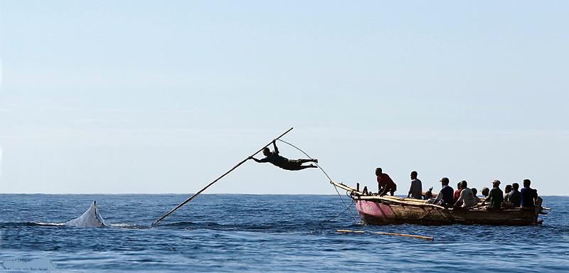 Can you Beleive this - Whale Hunting Photo | World Photo Collection Gallery