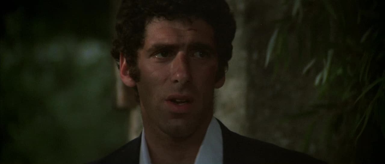 Volcano Cat, the Pop-Culture hangout