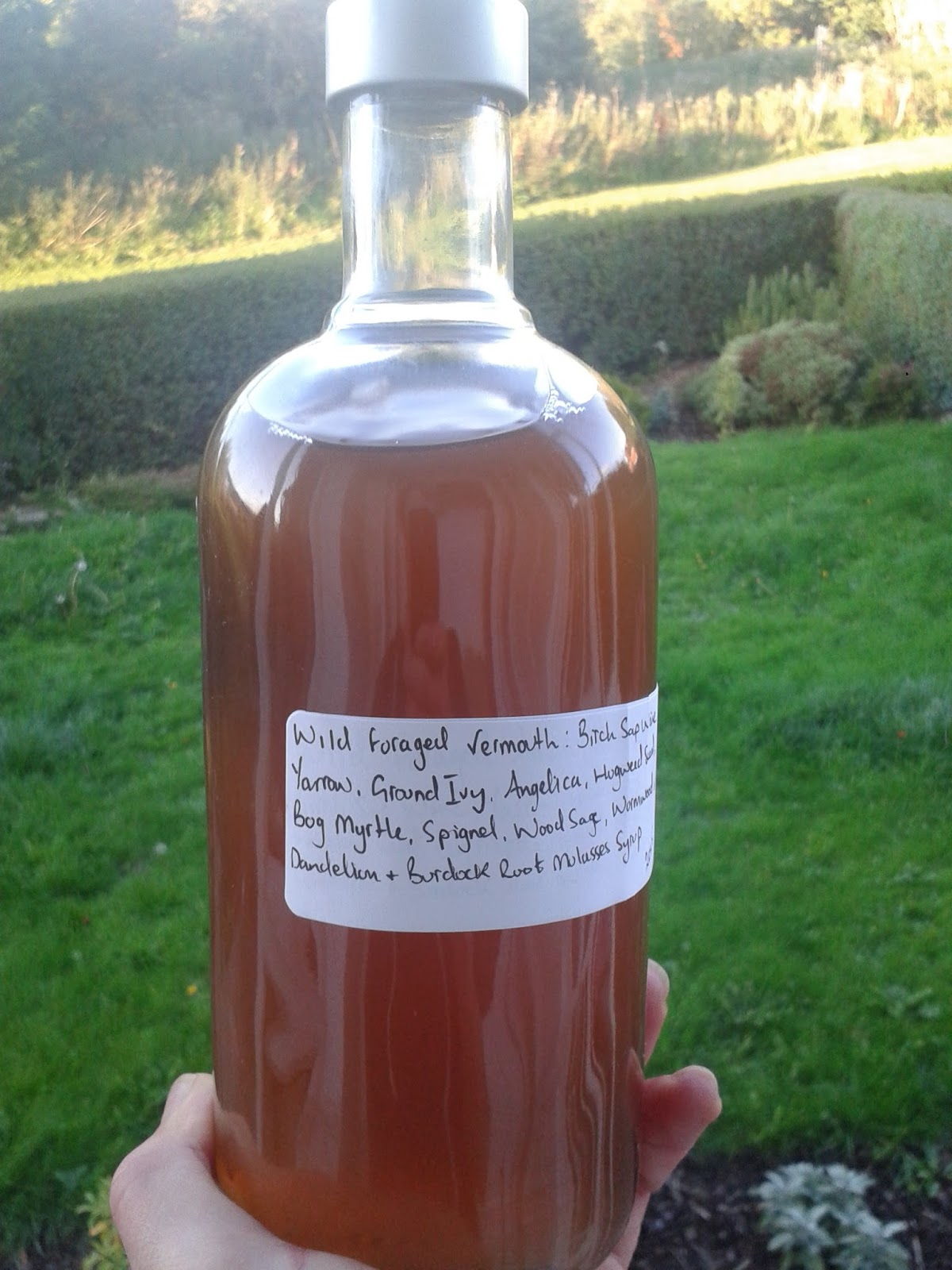 Wild Drinks: 'Drunk-On Botany'