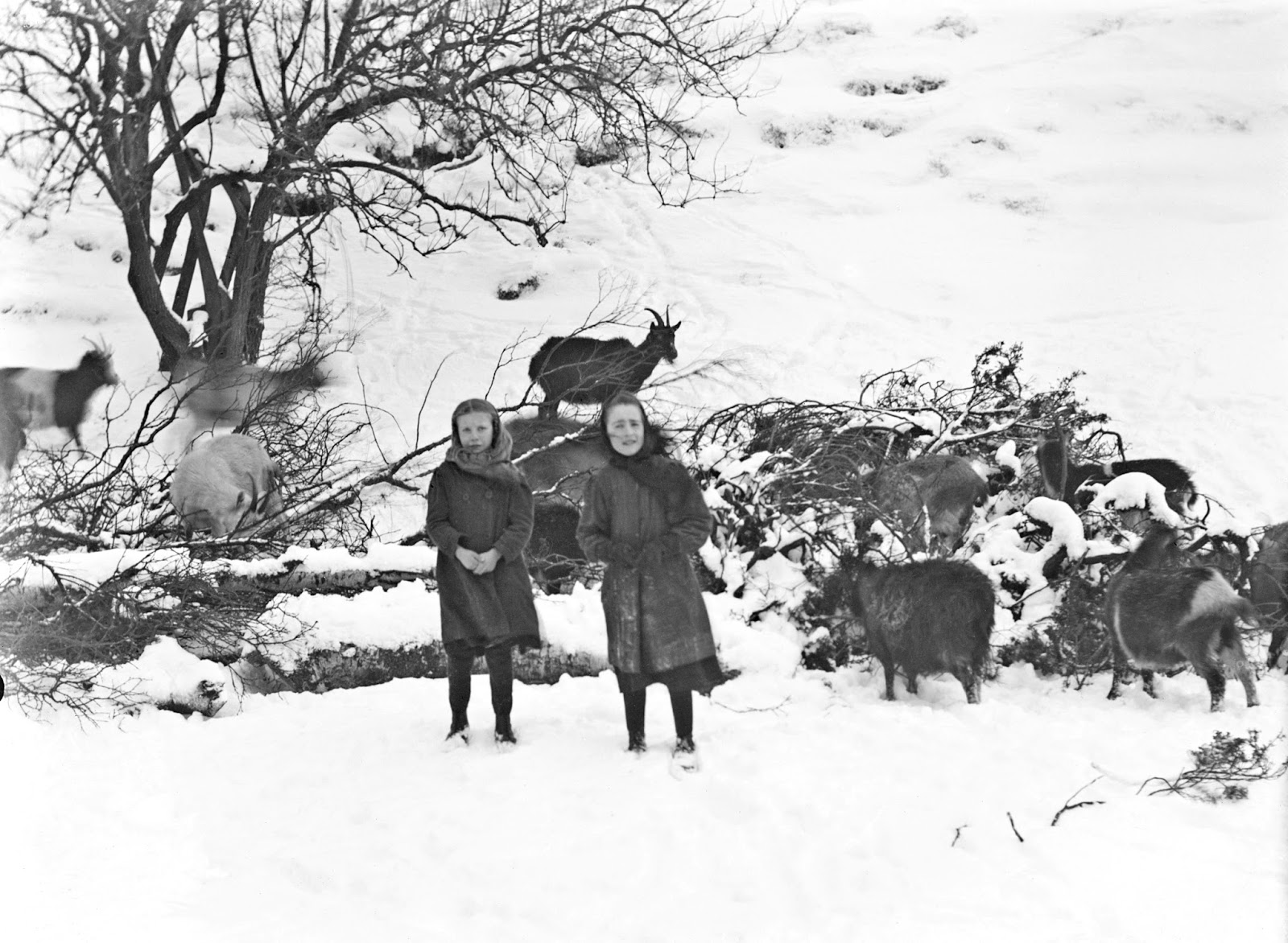 History in Photos: Paul Stang