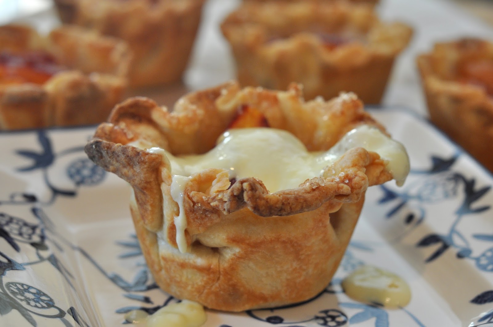 Mennonite Girls Can Cook: Rustic Nectarine Tarts