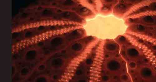 TimoBook: Wordpress Theme Development 3rd Edition