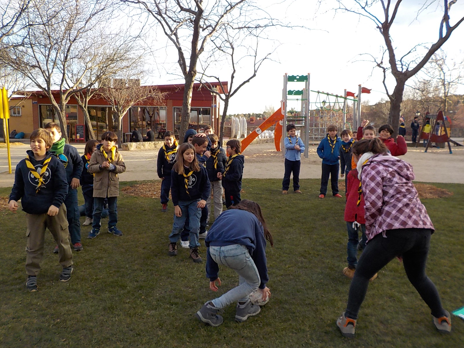 seeonee217: Método Scout