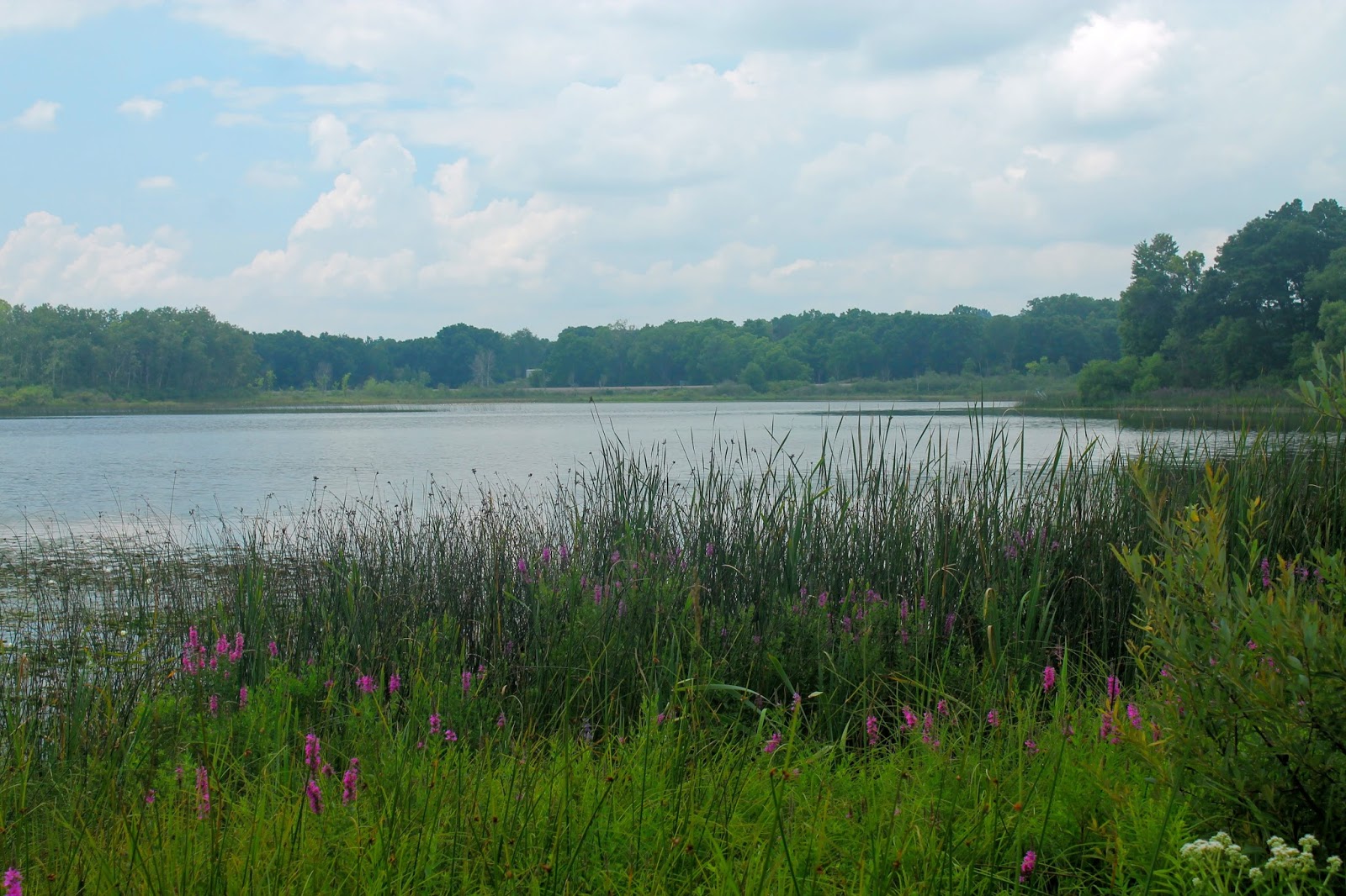 Lacing up my hiking boots: Not far from home: A day trip to Brighton ...