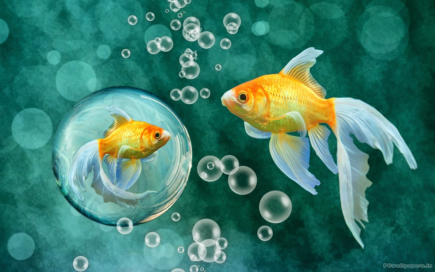 Aeva Dhara - by Kripa