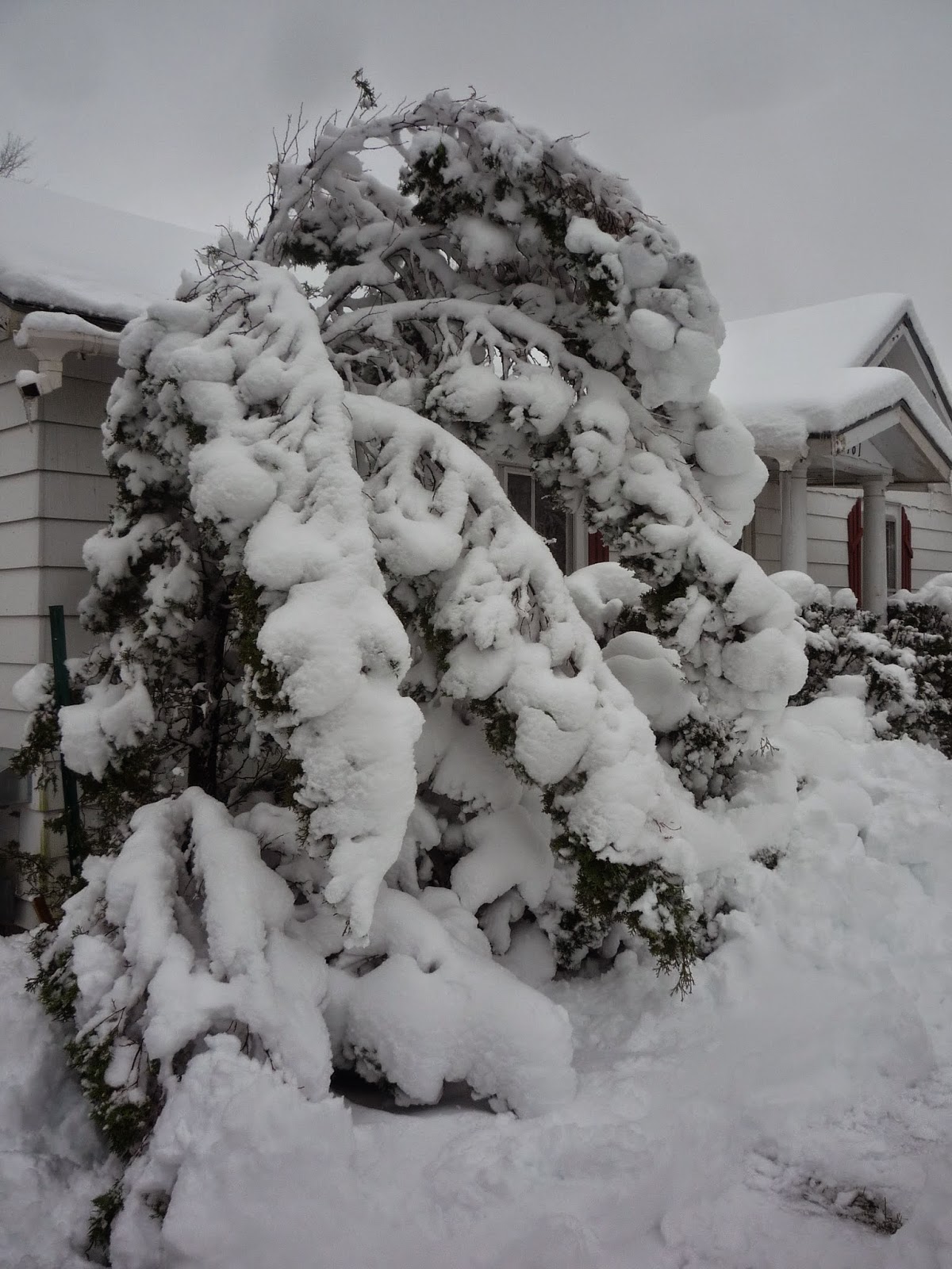 Weather in Vermont: Dec 2014 Snowstorm | South Burlington, Vermont ...