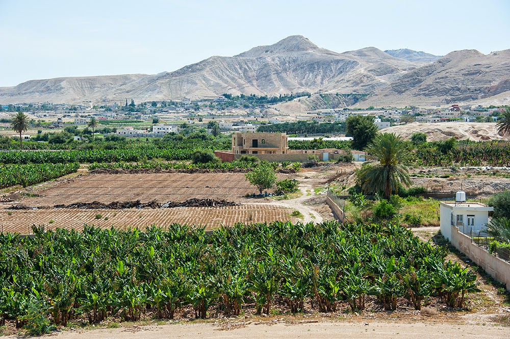 Jim Hamstra: Views of Jericho