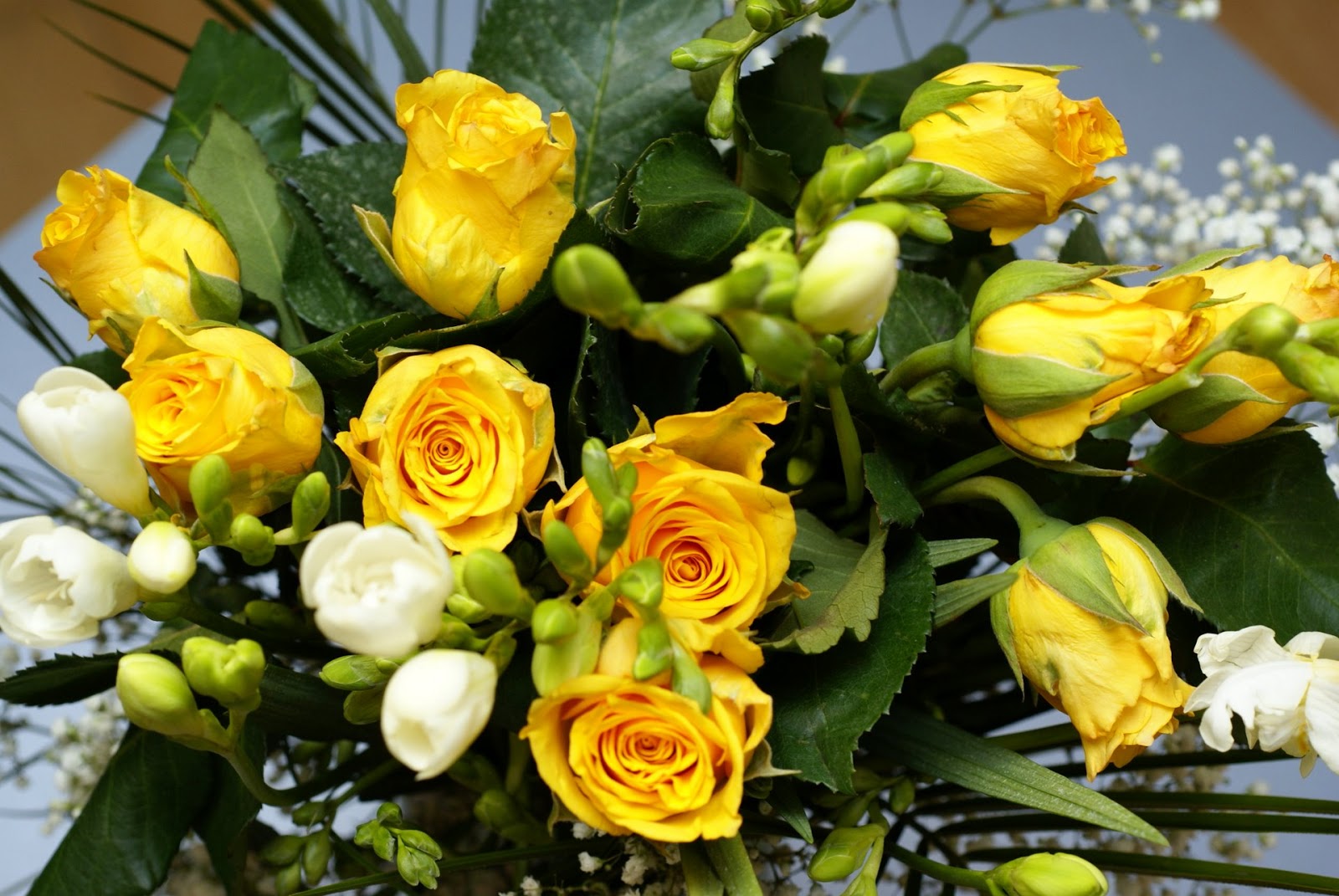 Flower Wallpapers | Flower Pictures | Red Rose | Flowers Gifts: Yellow ...