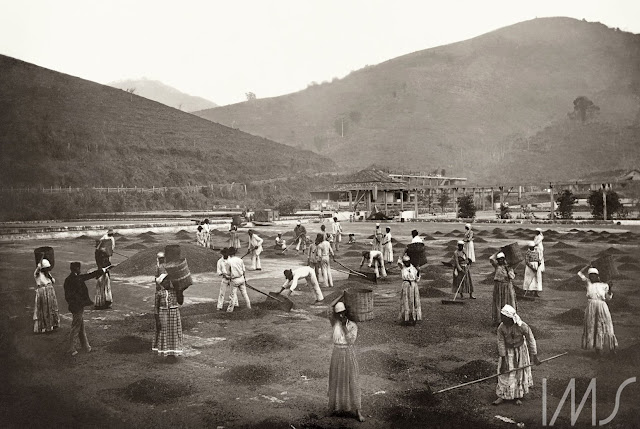 HistóriaS: maio 2018