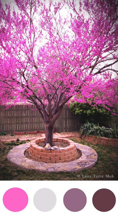 a tailored line: Spring + Nature's Color Palette