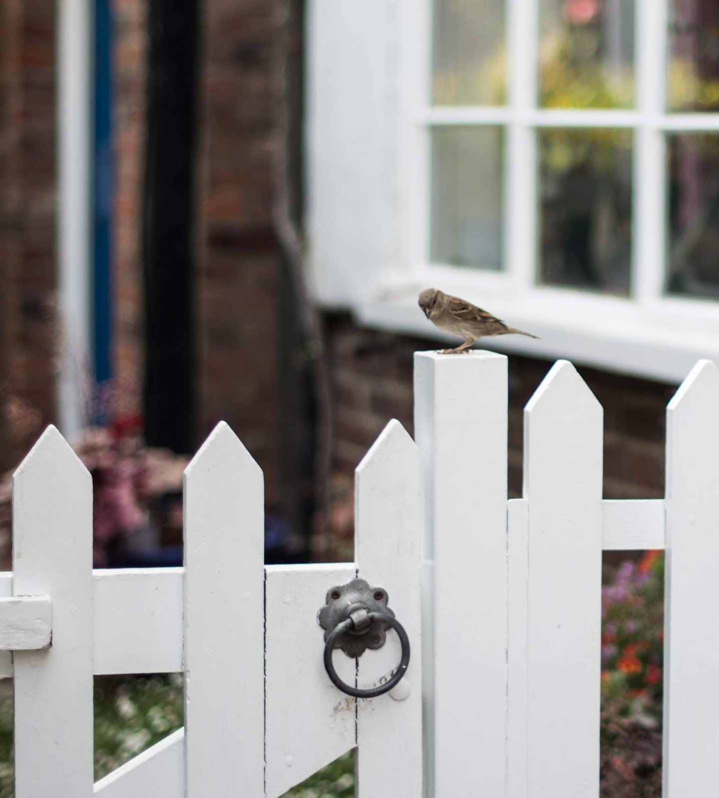 Afternoon Tea at Cobbles Tea Room, Rye - Eboni Ivory Blog