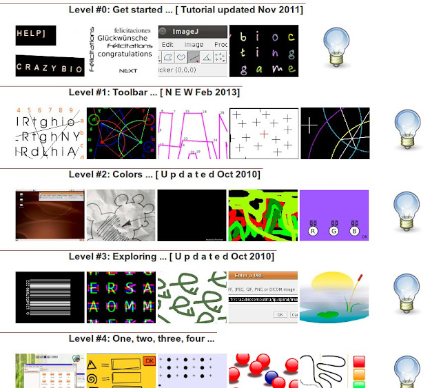 crazybiocomputing: Crazybiocomputing; The mini-games