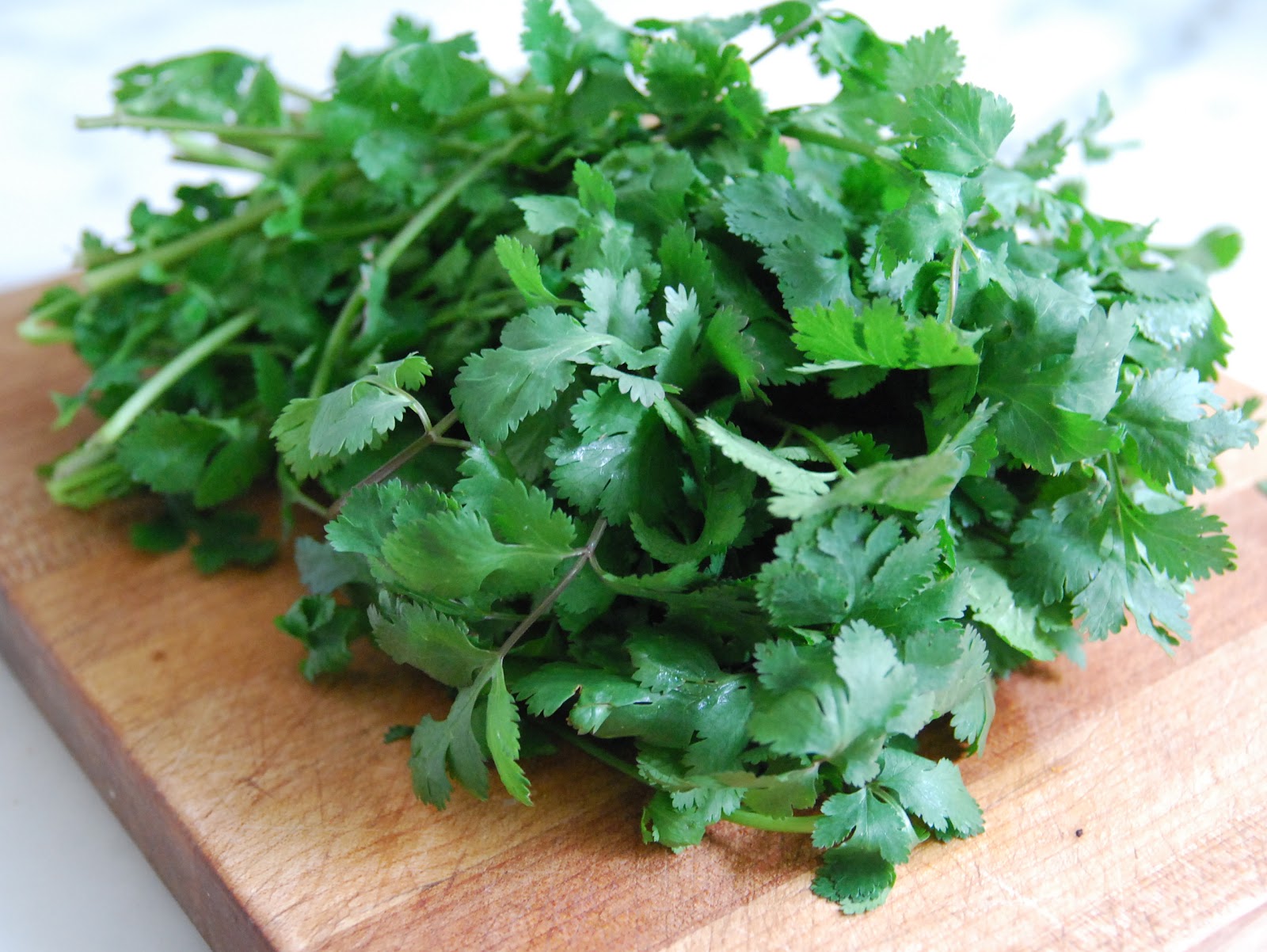 My Recession Kitchen...and garden: Mexican Bean Soup