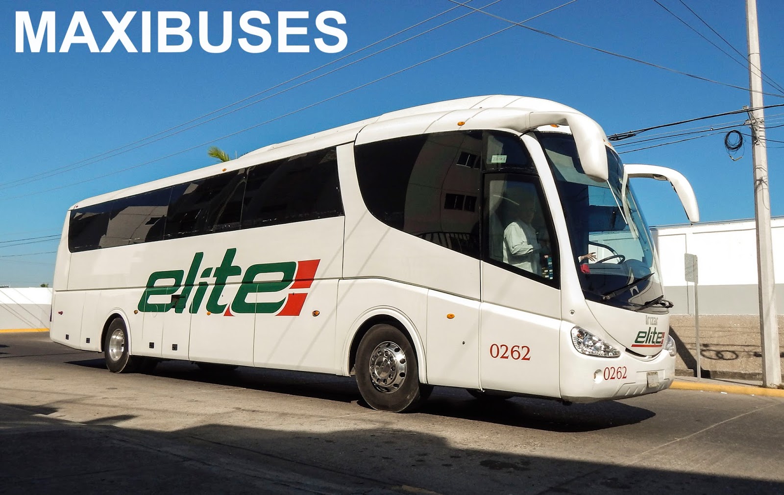 MAXIBUSES: ELITE