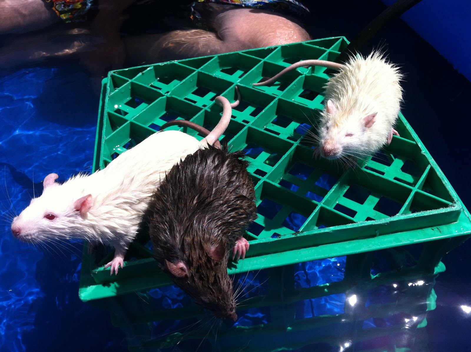 Where's My Water?: Welcome to 2012