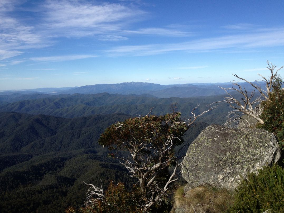 Trails and Tracks: 3 Craggy Peaks (Mts Cobbler, Speculation & Koonika ...