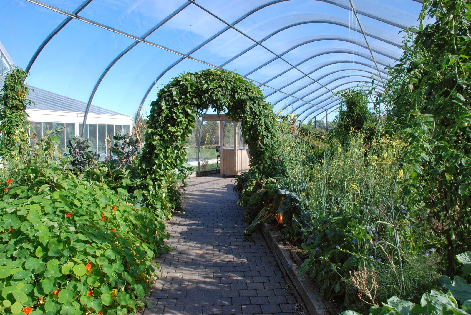 Great Year for our Edible Garden - Como Zoo Conservatory