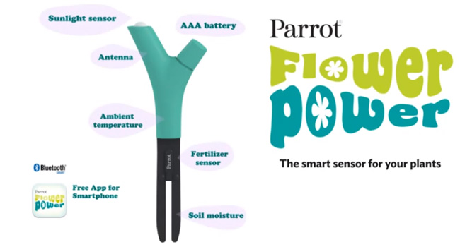 Cannaron: Parrot 'Flower Power'