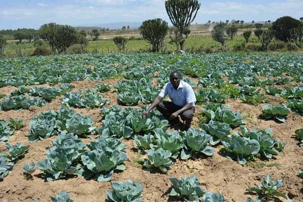 ARID FARM WHERE ANIMALS, CROPS THRIVE