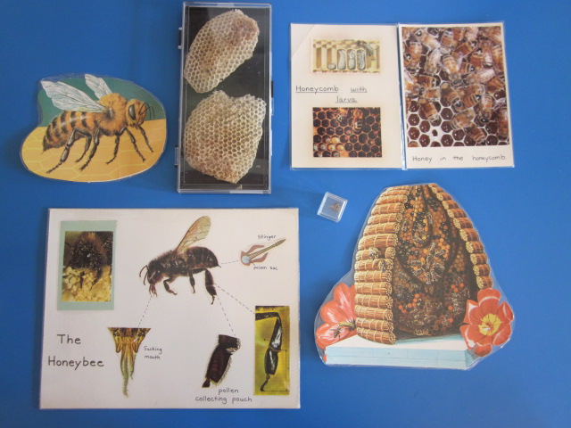 Inspired Montessori, Reggio Loose Parts, and Children's Art : Huge Unit ...