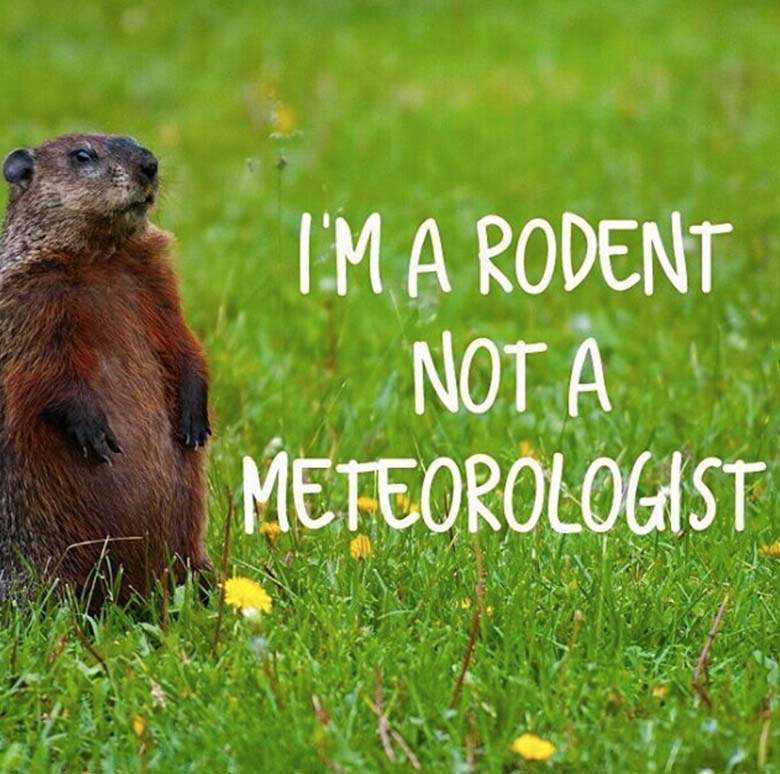 Groundhog day 2018 . The day groundhogs turn evil