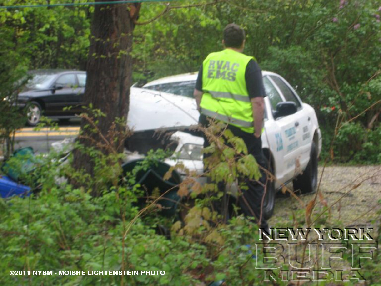 New York Buff Media: MVA Car vs Tree