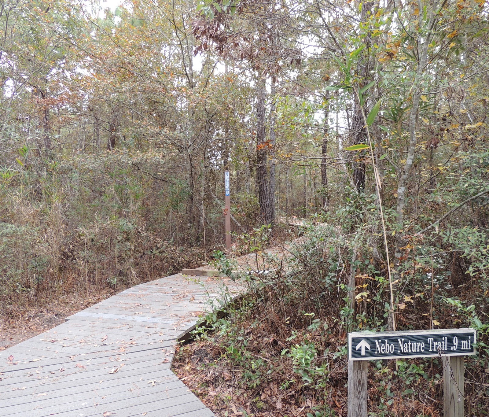 1000 Hikes in 1000 Days: Day 747: Sewee Visitor Center - Nebo Trail ...