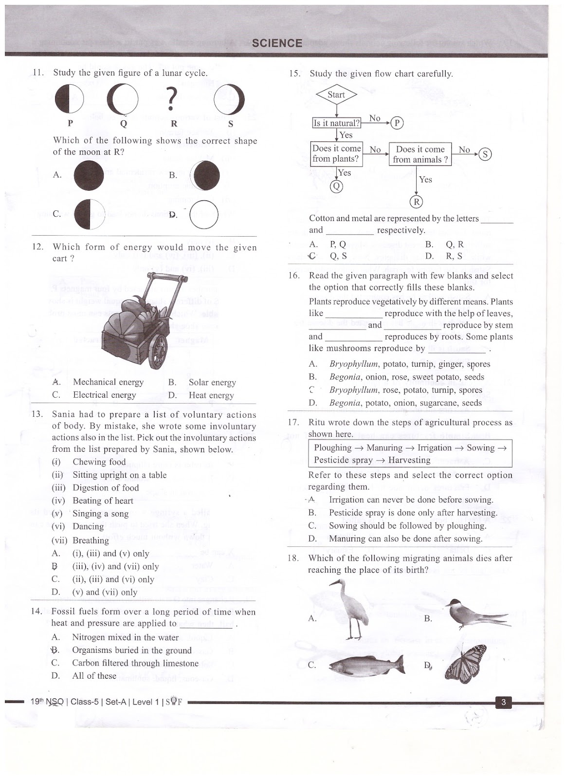 Athreya Kidambi - Kavitha Kidambi: NATIONAL SCIENCE OLYMPIAD - GRADE ...
