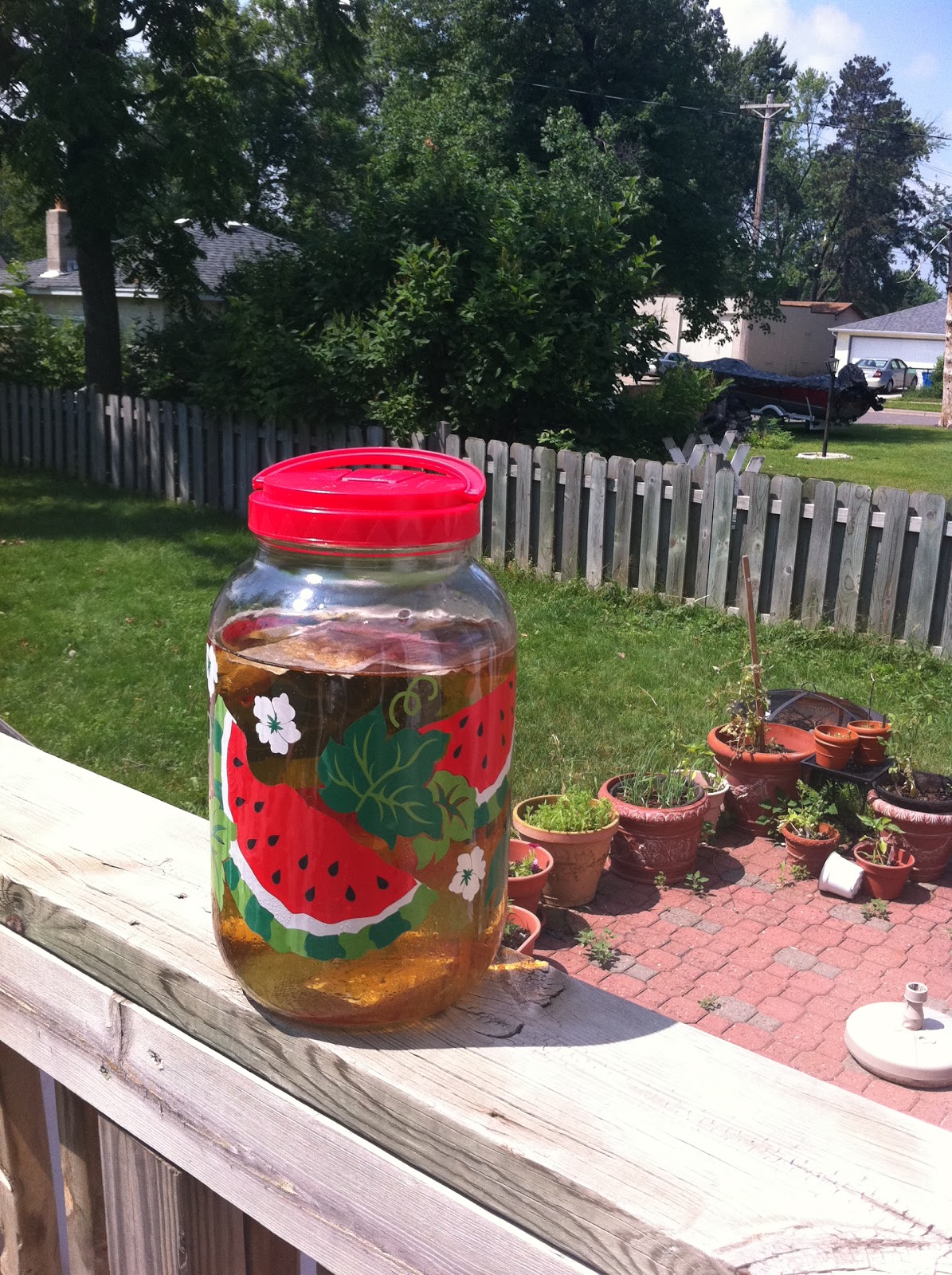 Jinxy Knows Best: Pomegranate Lemon Green Sun Tea Recipe - Stay Cool!