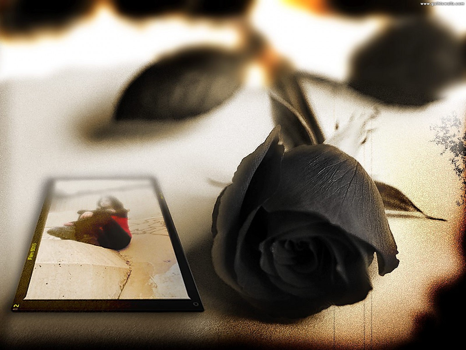 Scary Wallpaper - Black Rose Gothic Picture | Scary Wallpapers