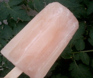 Chef Jenn's Culinary Tales: St. Germain and Grapefruit Popsicles