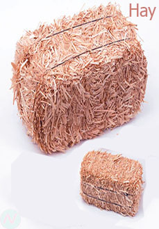 Garden Tools/Implements Name & Images | Necessary Vocabulary ...