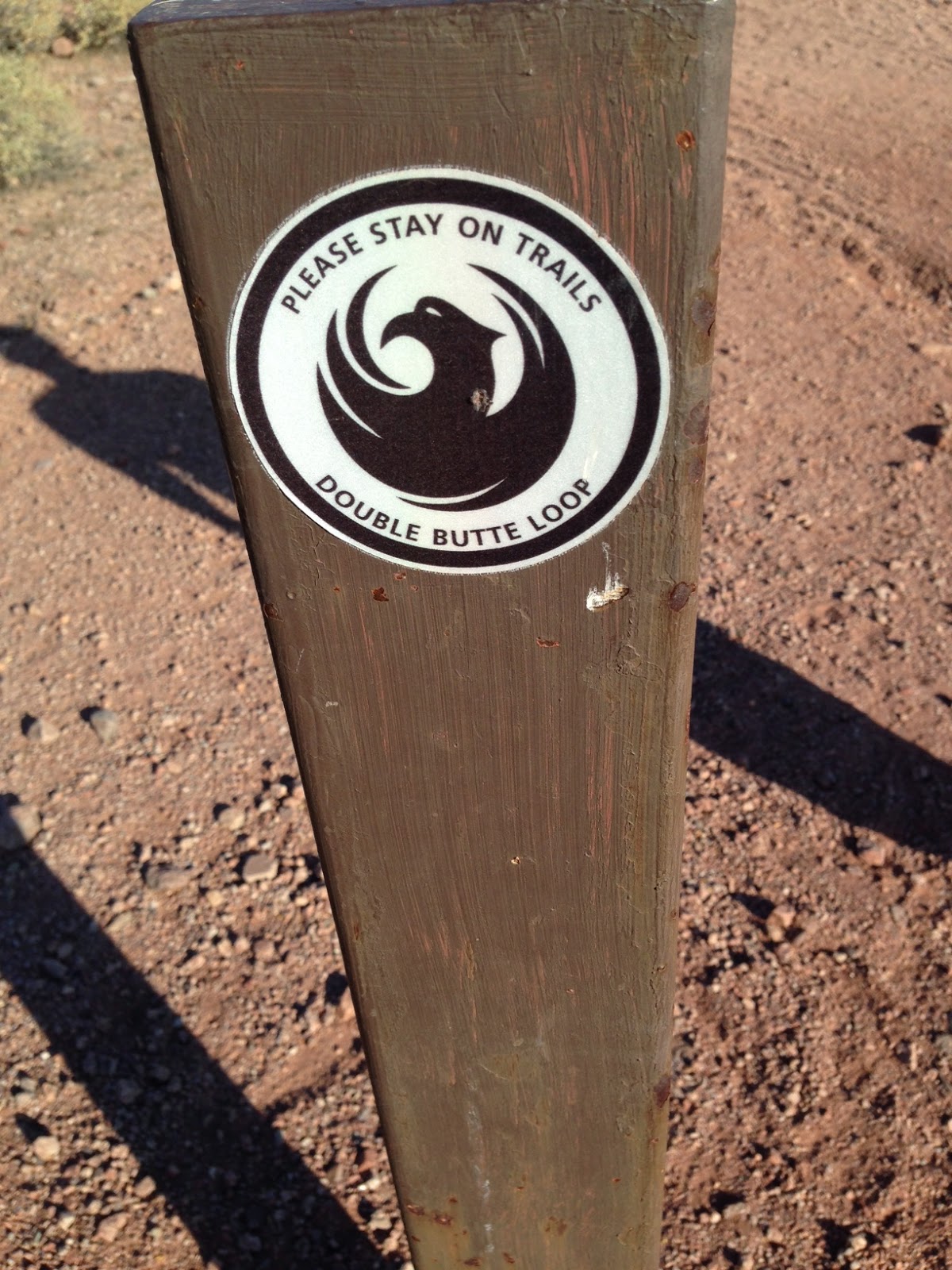 50 Hikes in my 50th Year: Hike #35 - Papago Park - West Park Trailhead ...