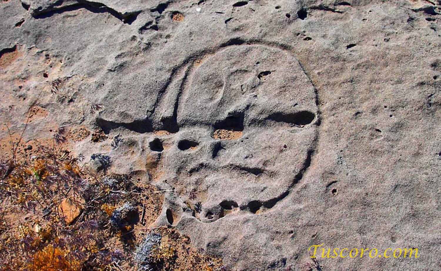 Tuscoro: Aztec Navigation Glyph (Key Glyph)