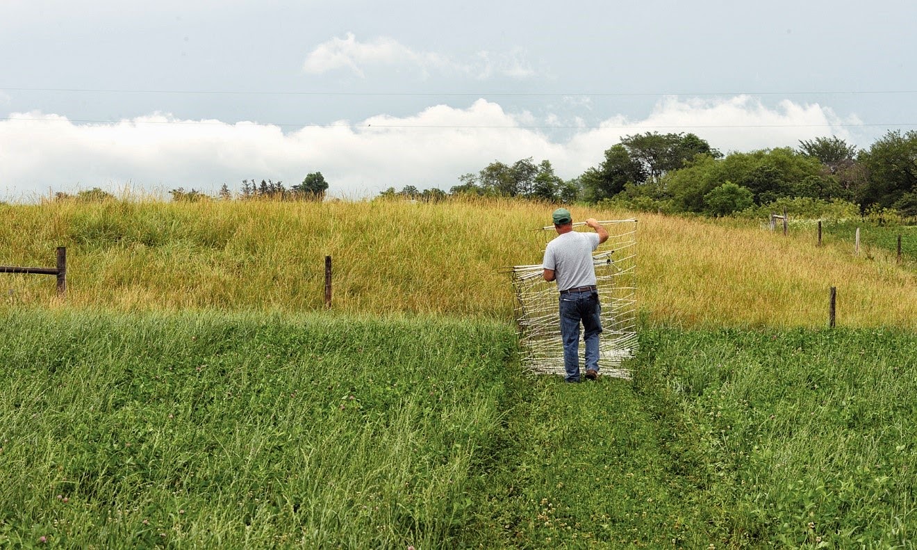 Food For Thought: How Do Farmers Use Water?