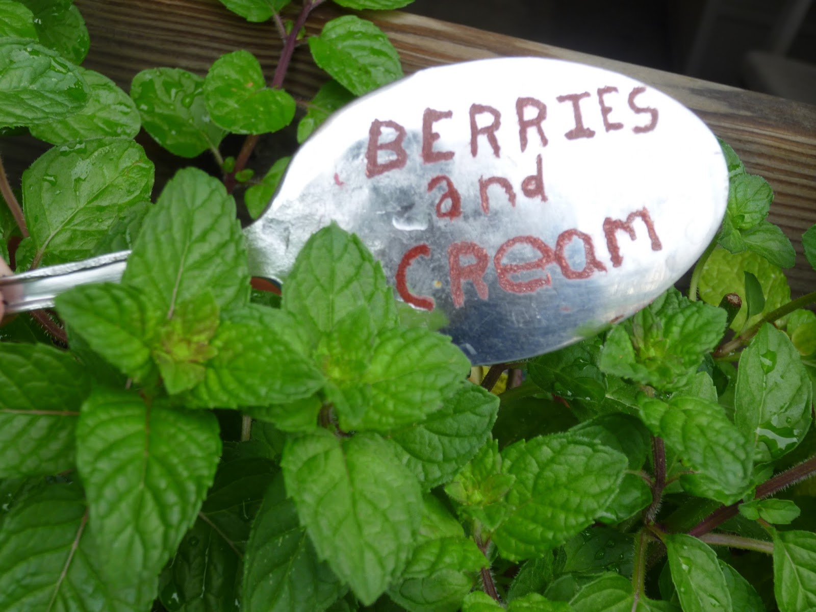 Tarım Siteniz: Nane Çeşitleri (mint varieties)