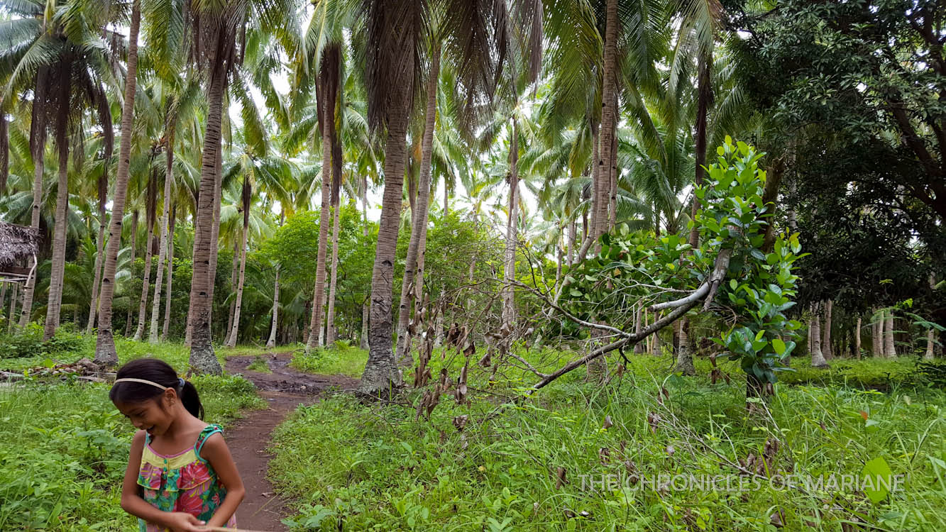 Back Home in Mandaon, Masbate | The Chronicles of Mariane